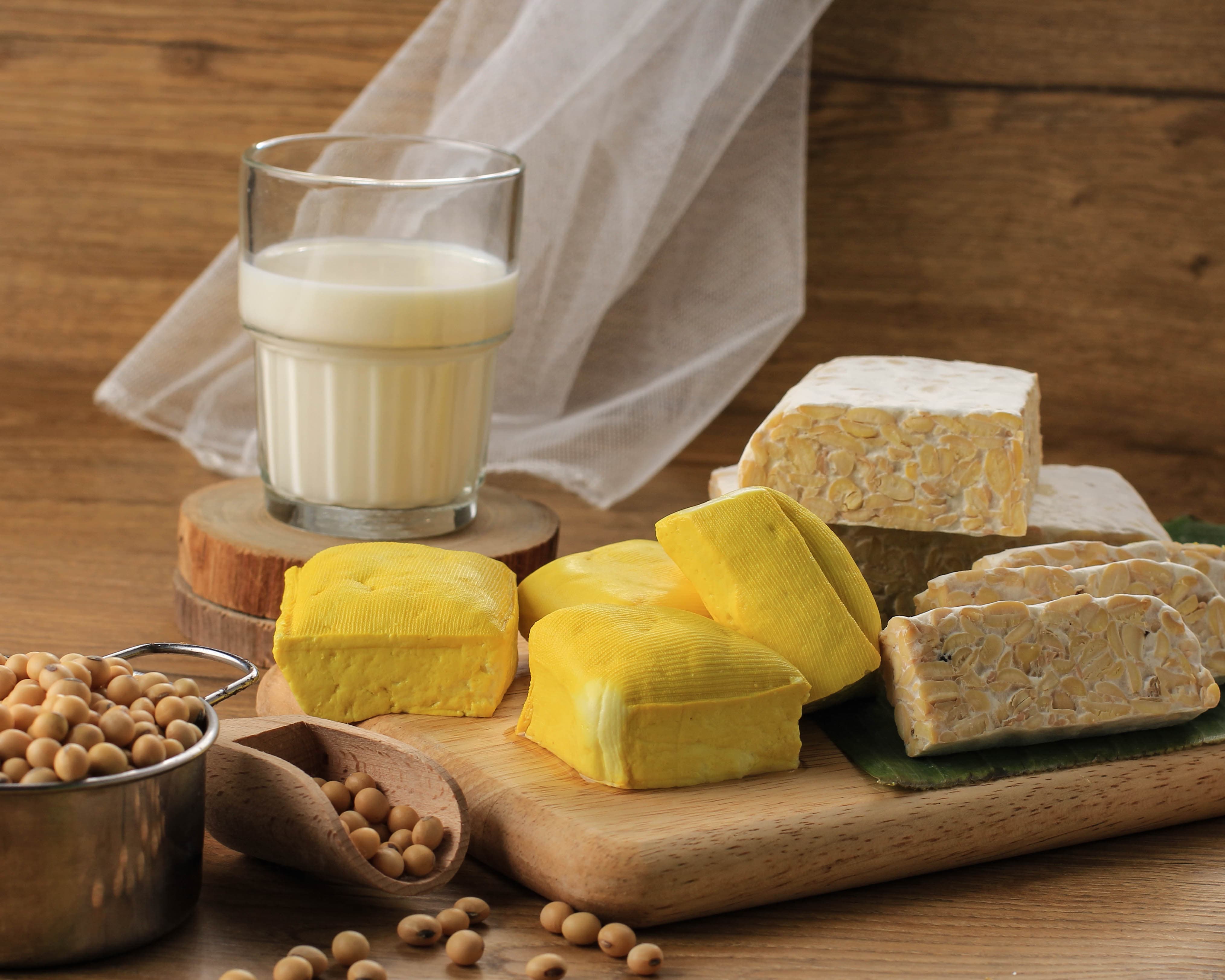 Soy: a Plant-Based World to Discover